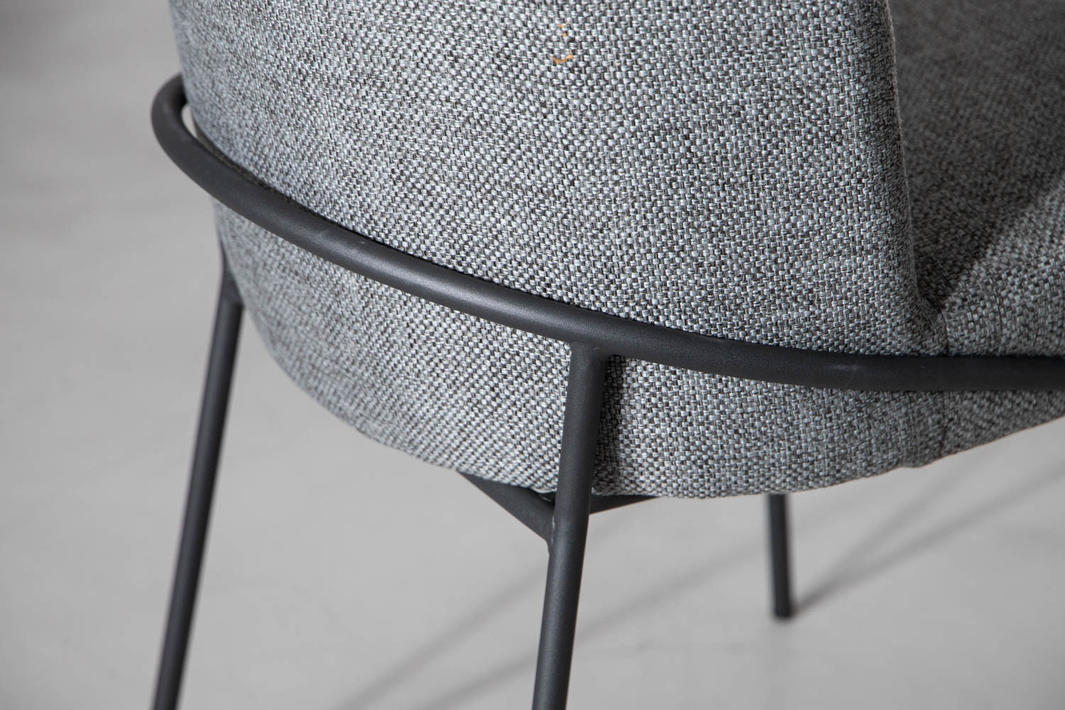 Curva Dining Chair | Mid-Century Design & Modern Comfort | Cielo