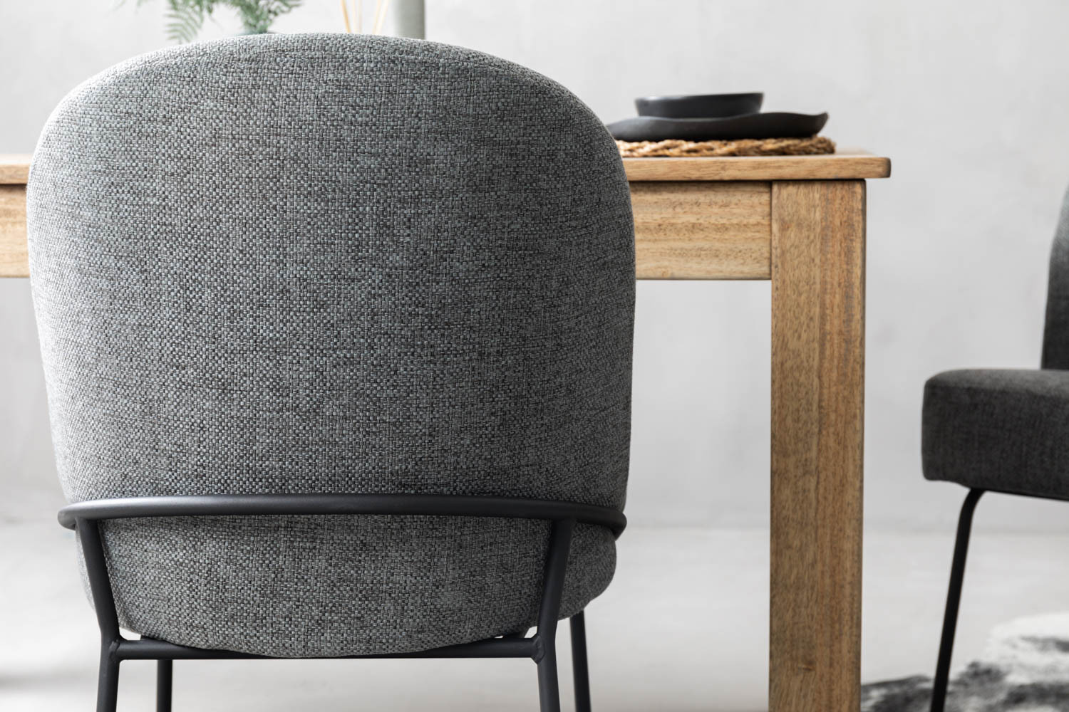 Curva Dining Chair | Mid-Century Design & Modern Comfort | Cielo