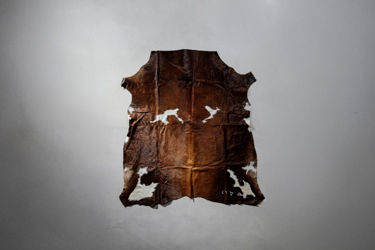 Hides For Sale | Cielo