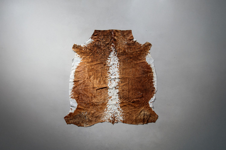 Hides For Sale | Cielo