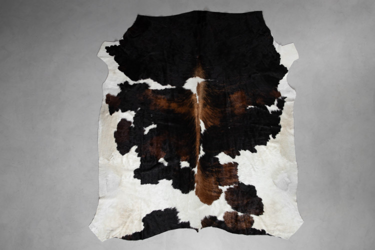 Hides For Sale | Cielo