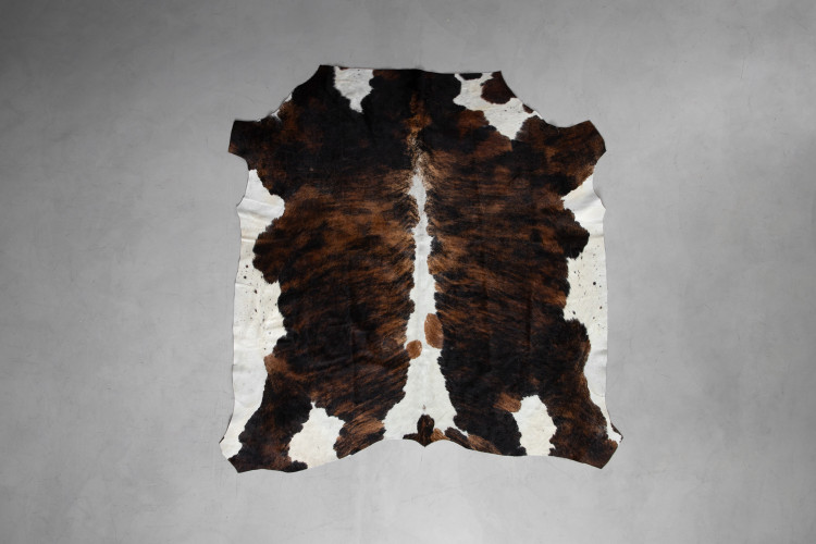 Hides For Sale | Cielo