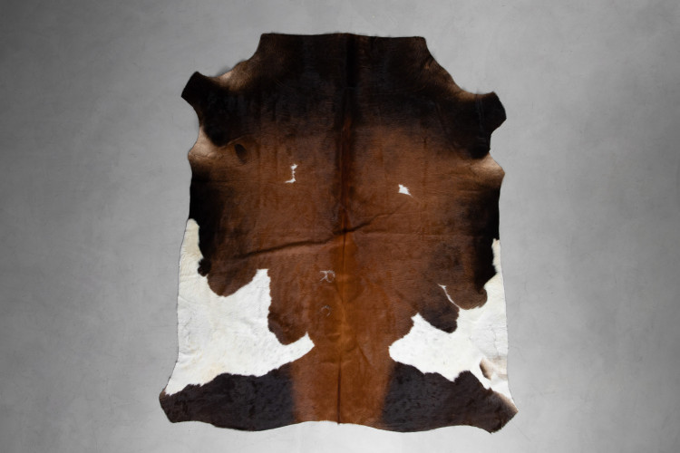 Hides For Sale | Cielo