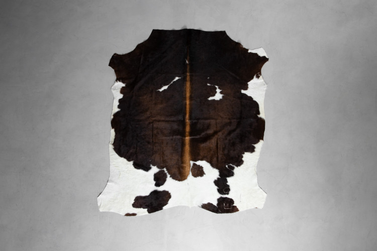 Hides For Sale | Cielo