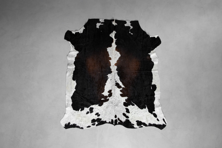 Hides For Sale | Cielo