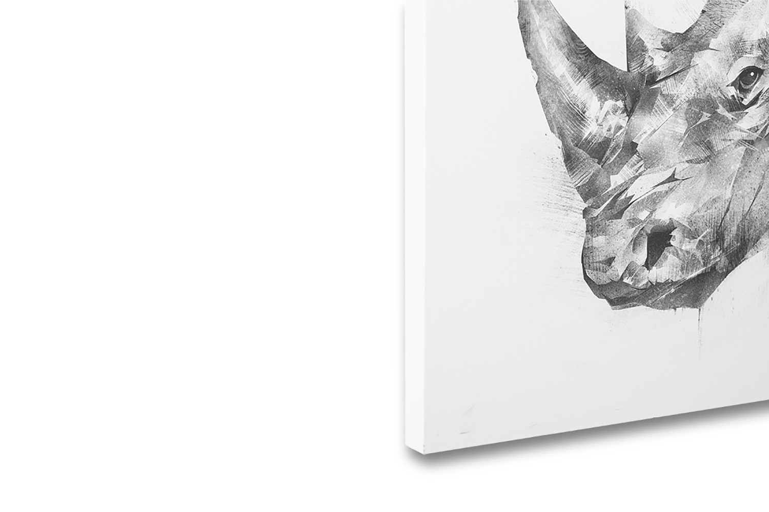Rhino Abstract Canvas Art | Cielo