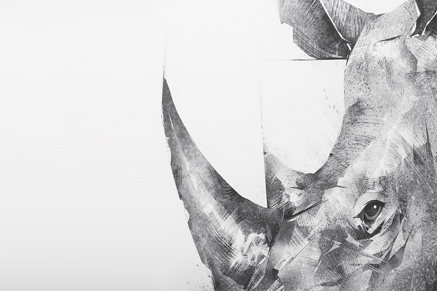 Rhino Abstract Canvas Art | Cielo