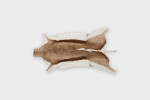First Grade Springbuck Hides | Cielo