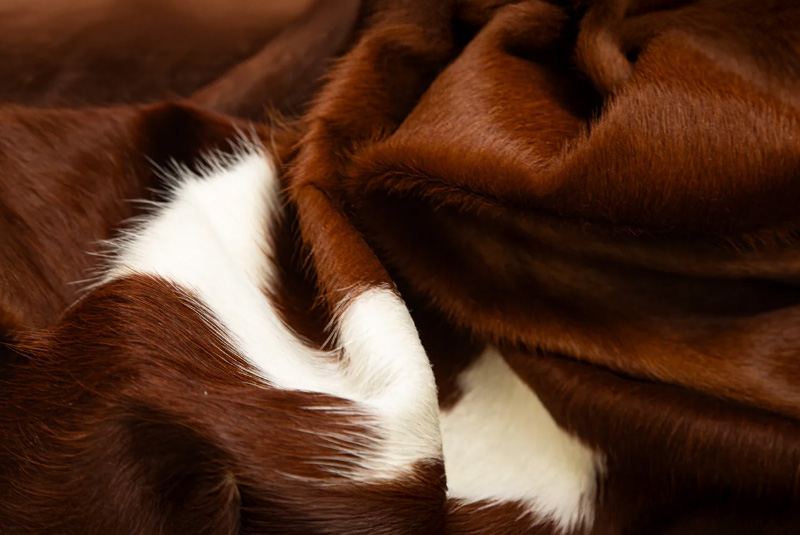 Decor Collection | Cielo