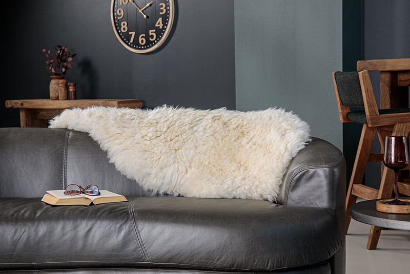 Decor Collection | Cielo