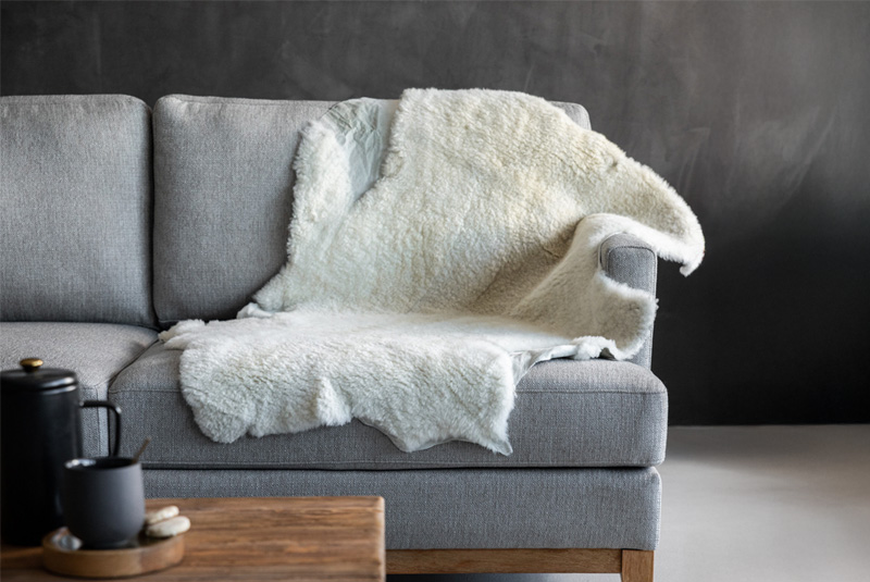 Decor Collection | Cielo