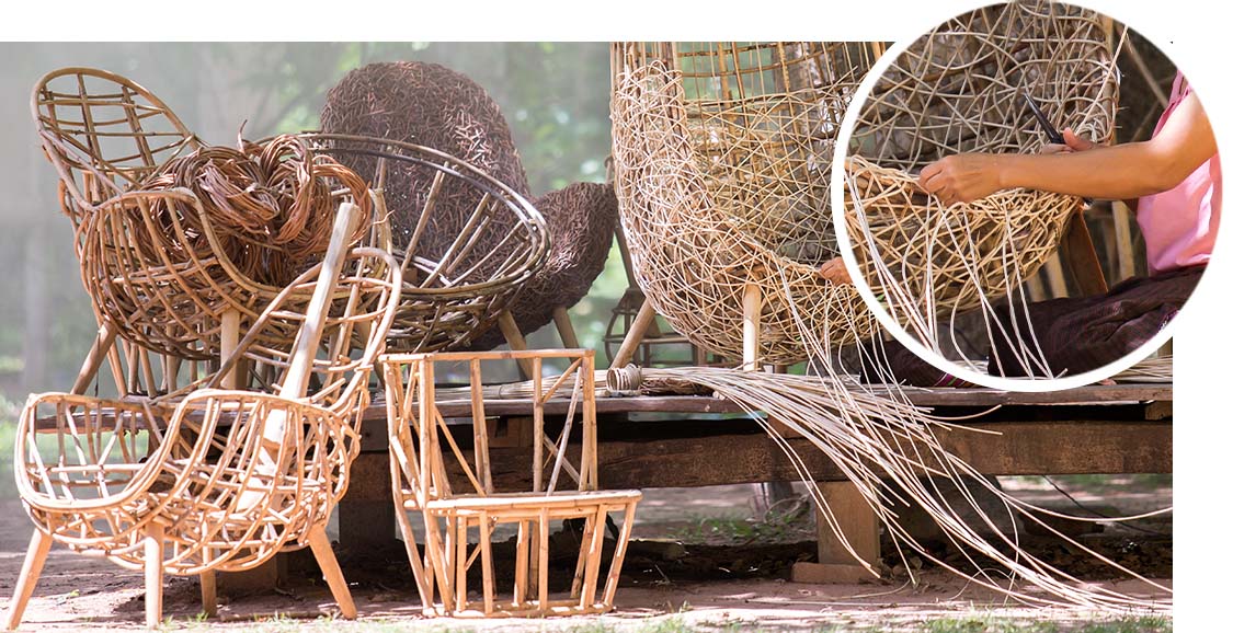 What is rattan and where does it come from?