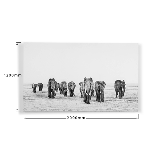 Elephant Walk Canvas Art - Large For Sale | Cielo