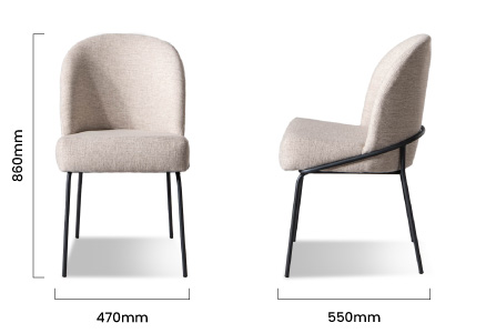 Curva Dining Chair - Smoke | Cielo